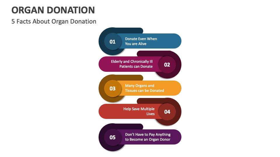 Organ Donation PowerPoint and Google Slides Template - PPT Slides