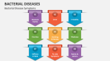 Bacterial Diseases PowerPoint and Google Slides Template - PPT Slides