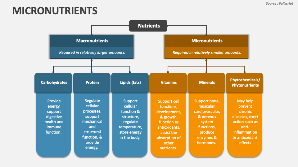 Micronutrients PowerPoint Presentation Slides - PPT Template