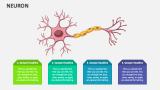 Neuron PowerPoint and Google Slides Template - PPT Slides