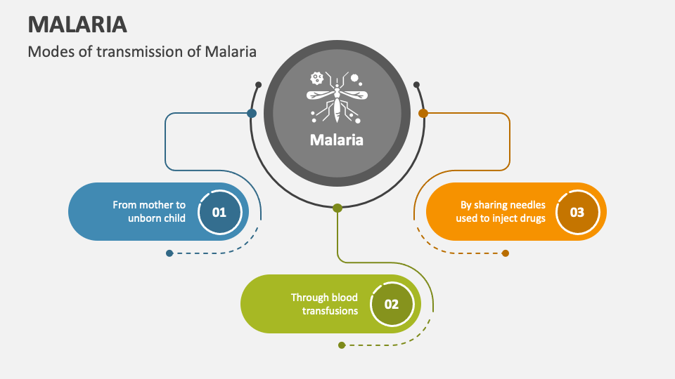 Malaria PowerPoint and Google Slides Template - PPT Slides