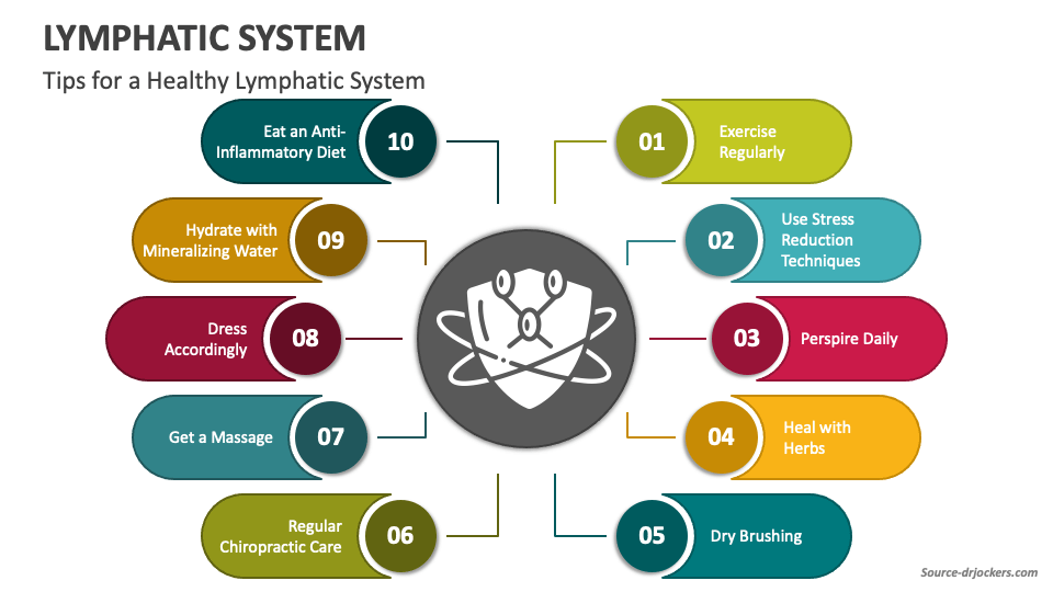 Ppt The Lymphatic System Powerpoint Presentation Free
