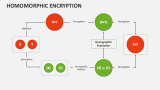 Homomorphic Encryption PowerPoint and Google Slides Template - PPT Slides