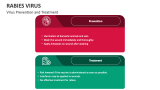 Rabies Virus PowerPoint and Google Slides Template - PPT Slides