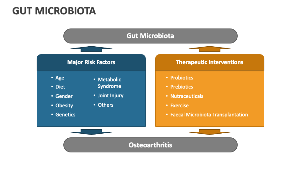 Gut Microbiota PowerPoint and Google Slides Template - PPT Slides