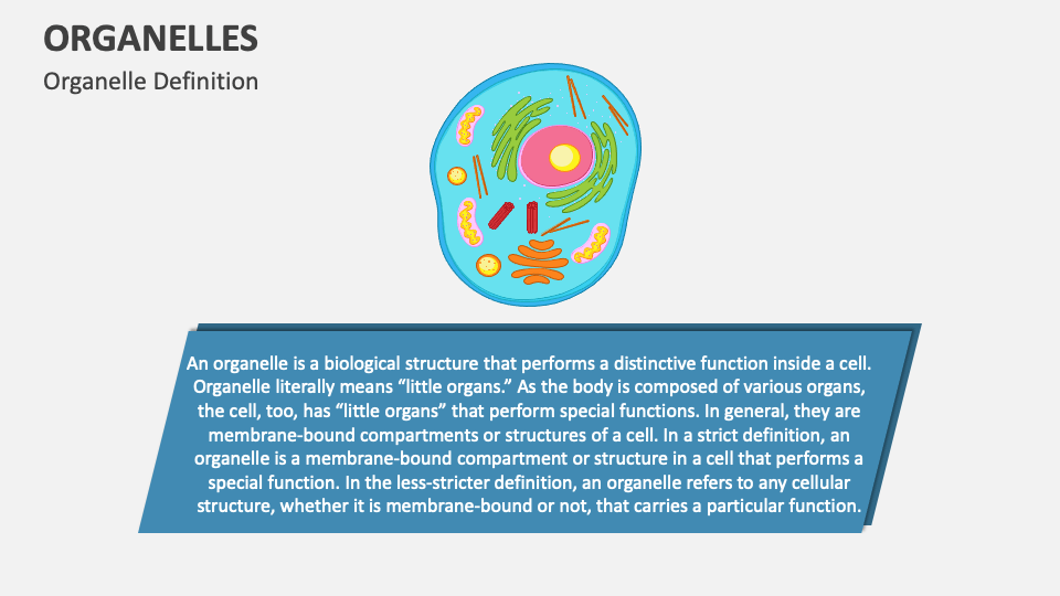 Organelles PowerPoint and Google Slides Template - PPT Slides