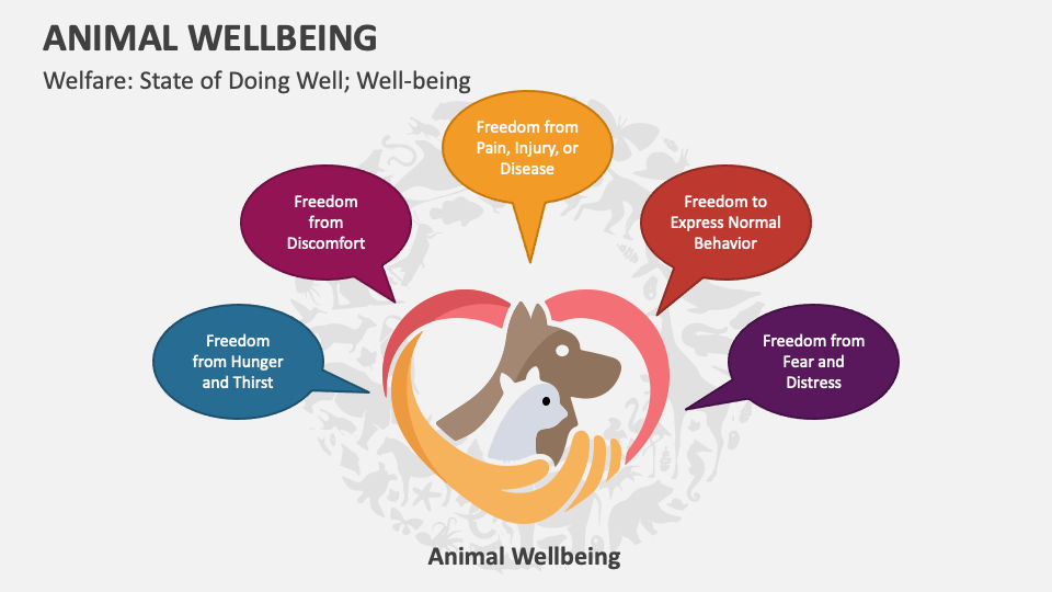 Animal Wellbeing PowerPoint and Google Slides Template - PPT Slides