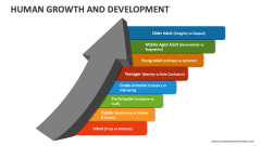 Human Growth And Development PowerPoint and Google Slides Template - PPT Slides