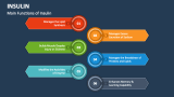 Insulin PowerPoint and Google Slides Template - PPT Slides
