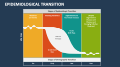 Epidemiological Transition PowerPoint Presentation Slides - PPT Template