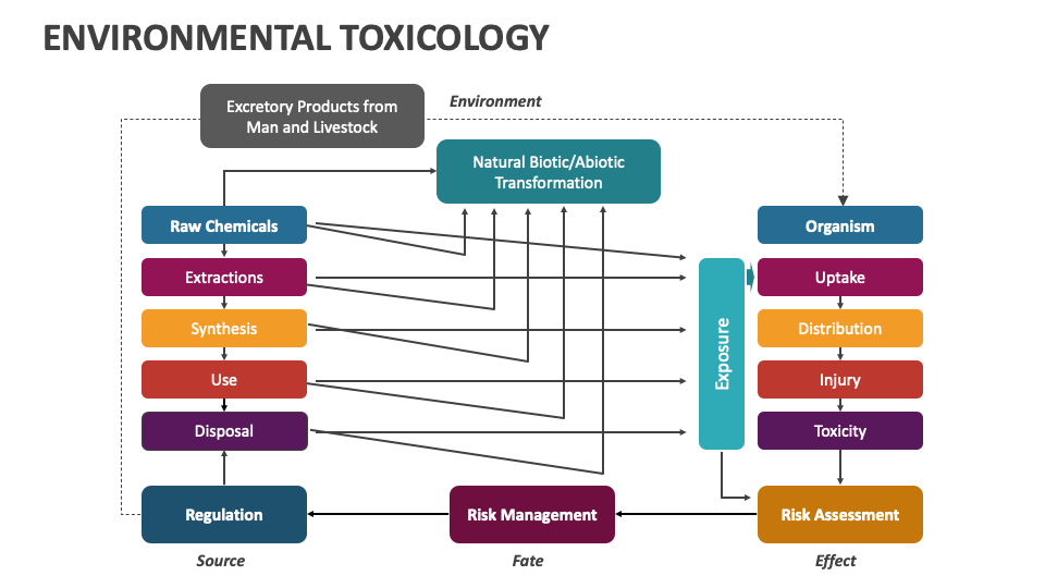 Environmental Toxicology PowerPoint and Google Slides Template - PPT Slides
