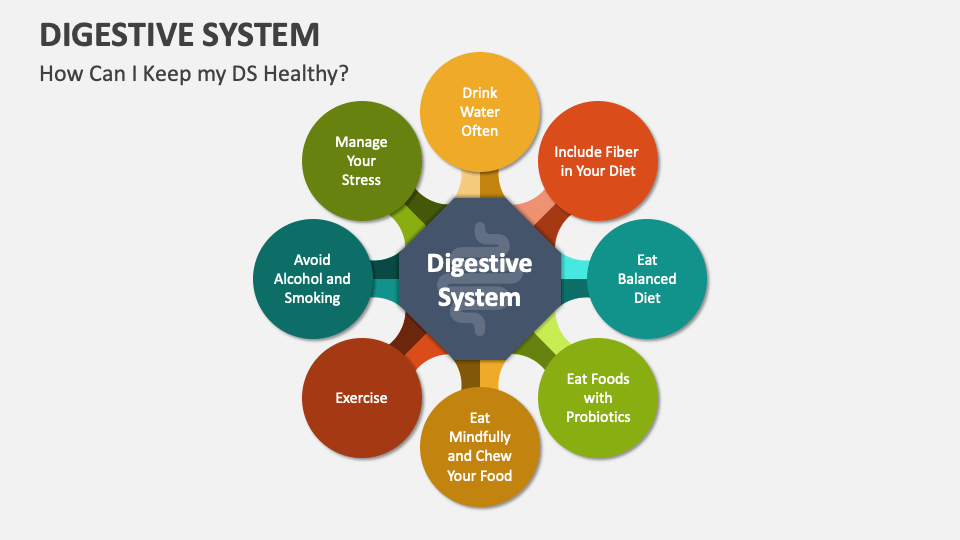 Digestive System PowerPoint and Google Slides Template - PPT Slides