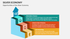 Silver Economy PowerPoint and Google Slides Template - PPT Slides