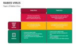Rabies Virus PowerPoint and Google Slides Template - PPT Slides