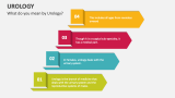 Urology PowerPoint Presentation Slides - PPT Template