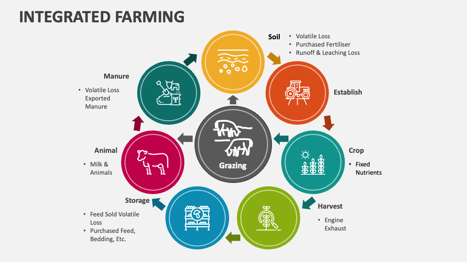 Integrated Farming PowerPoint and Google Slides Template - PPT Slides