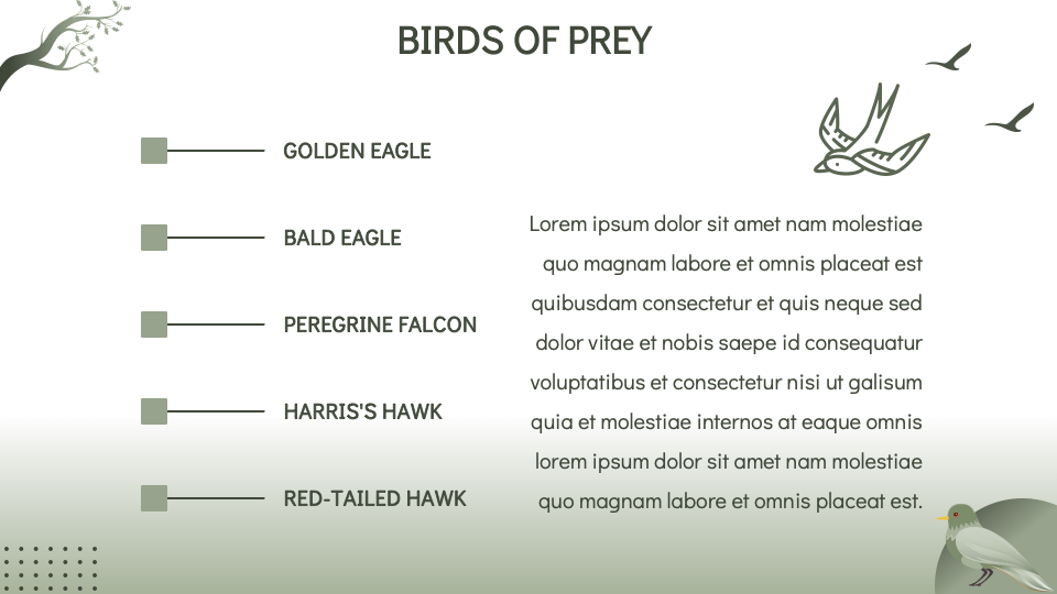 Free - Birds Presentation Template for Google Slides and PowerPoint ...