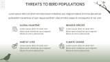 Free - Birds Presentation Template for Google Slides and PowerPoint ...