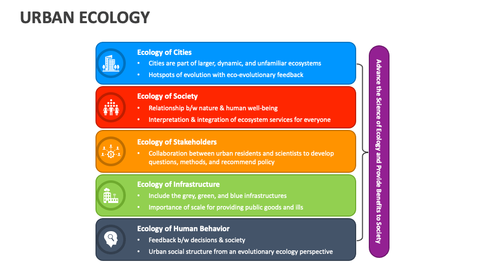 Urban Ecology PowerPoint and Google Slides Template - PPT Slides