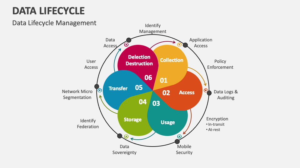 Data Lifecycle PowerPoint and Google Slides Template - PPT Slides