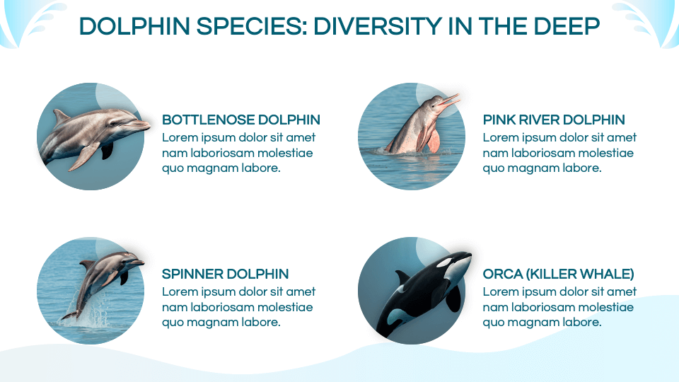 Free - Dolphin Presentation Template for Google Slides and PowerPoint ...