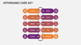 Affordable Care Act PowerPoint and Google Slides Template - PPT Slides