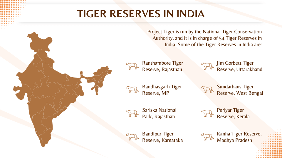 Free Project Tiger in India Presentation Template for Google Slides and ...
