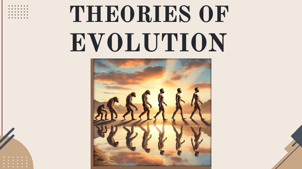 Theories of Evolution Template for Google Slides and PowerPoint - PPT ...
