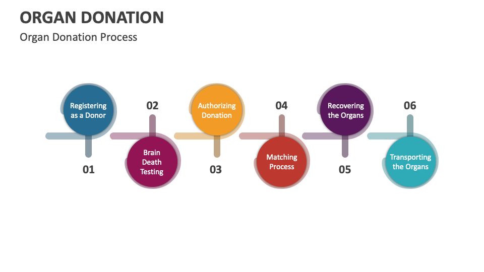 Organ Donation PowerPoint and Google Slides Template - PPT Slides