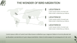 Free - Birds Presentation Template for Google Slides and PowerPoint ...
