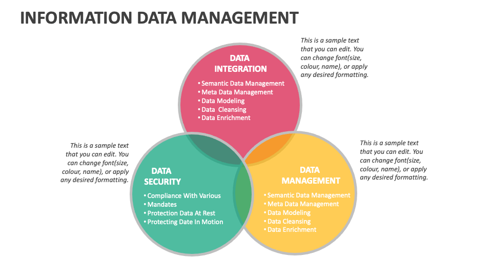 Information Data Management Template for PowerPoint and Google Slides ...