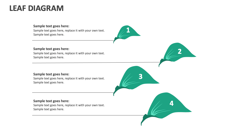 Leaf Diagram Template for PowerPoint and Google Slides - PPT Slides