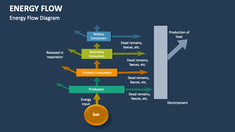 Energy Flow Template for PowerPoint and Google Slides - PPT Slides