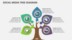 Social Media Tree Diagram Template for PowerPoint and Google Slides ...
