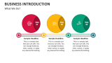 Business Introduction PowerPoint and Google Slides Template - PPT Slides