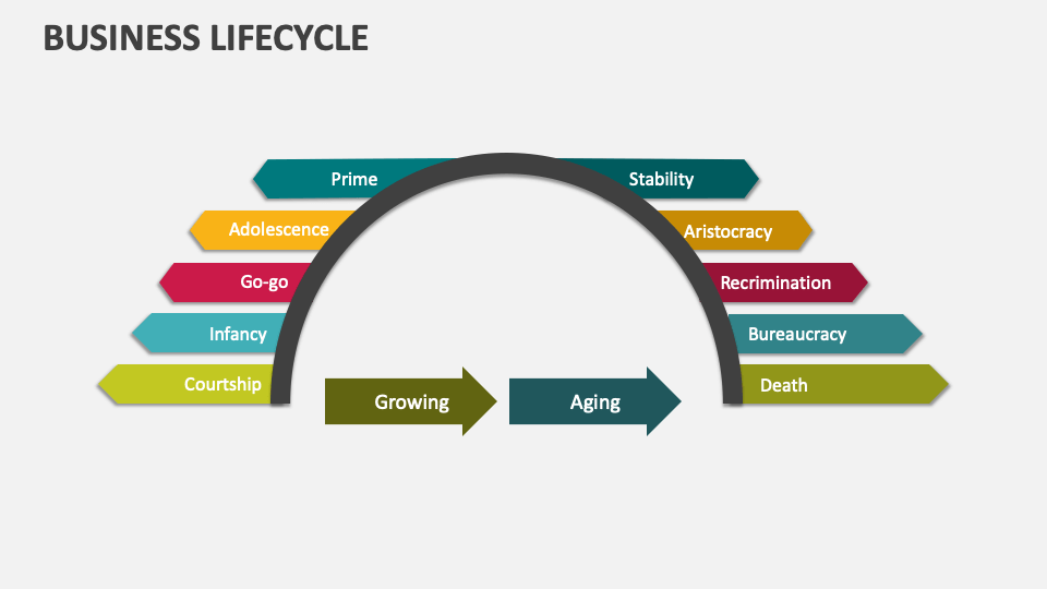 Business Lifecycle Template for PowerPoint and Google Slides - PPT Slides