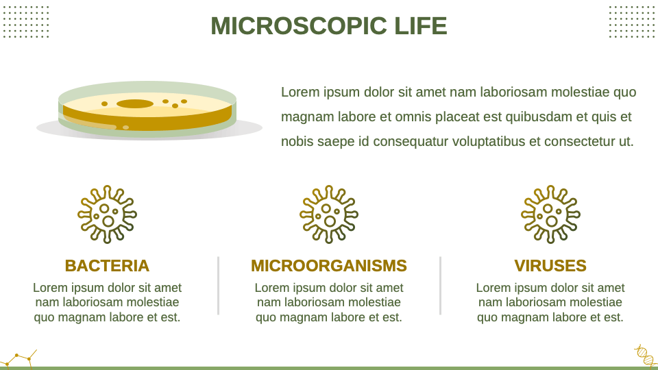 Free - Advanced Biology for High School Template for Google Slides and ...
