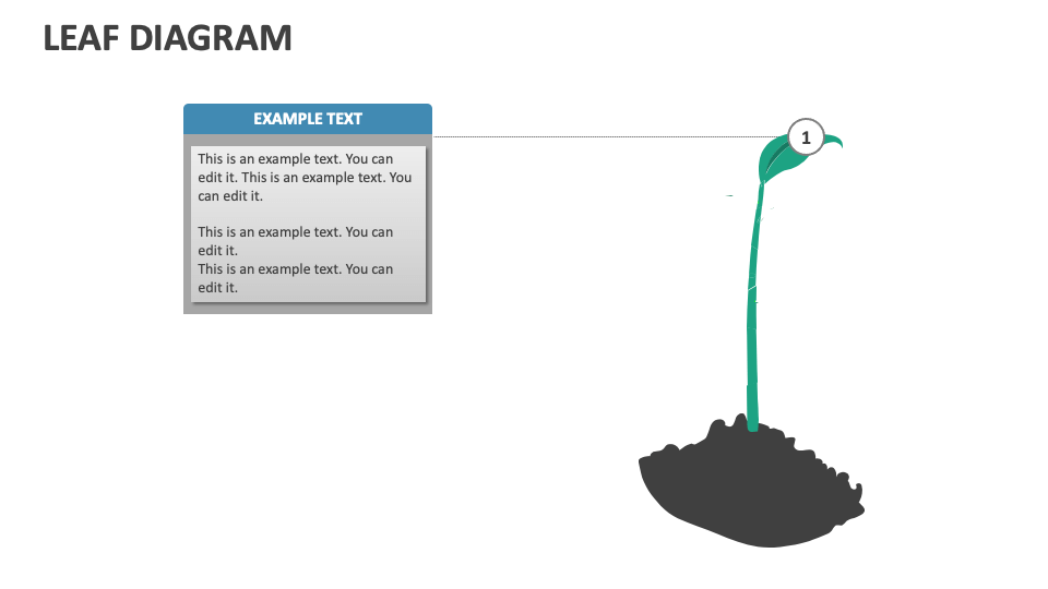 Leaf Diagram Template for PowerPoint and Google Slides - PPT Slides