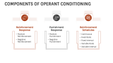 Operant Conditioning Template for Google Slides and PowerPoint - PPT Slides