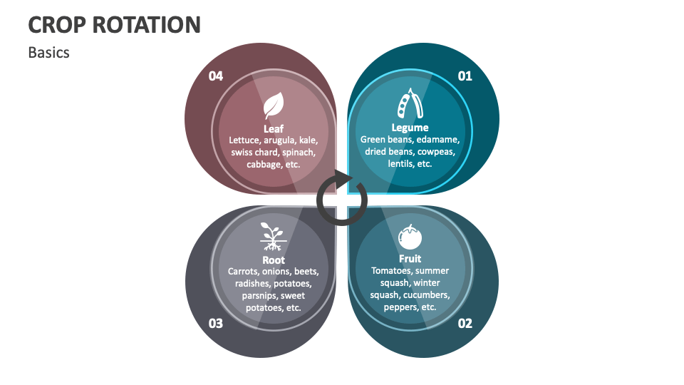 Crop Rotation PowerPoint and Google Slides Template - PPT Slides