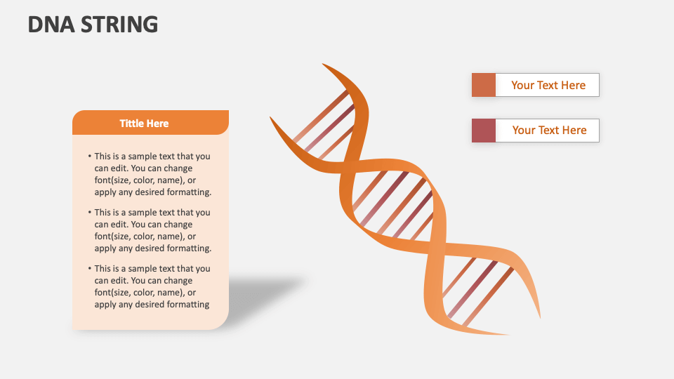 DNA String Template for PowerPoint and Google Slides - PPT Slides
