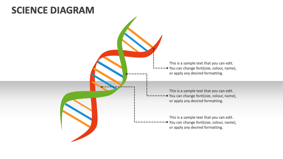 Science Diagram Template for PowerPoint and Google Slides - PPT Slides