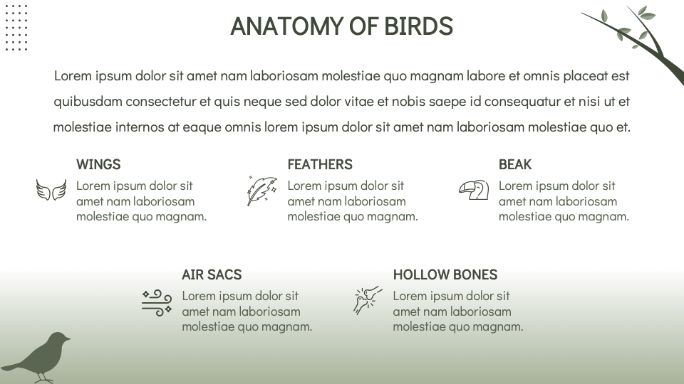 Free - Birds Presentation Template for Google Slides and PowerPoint ...