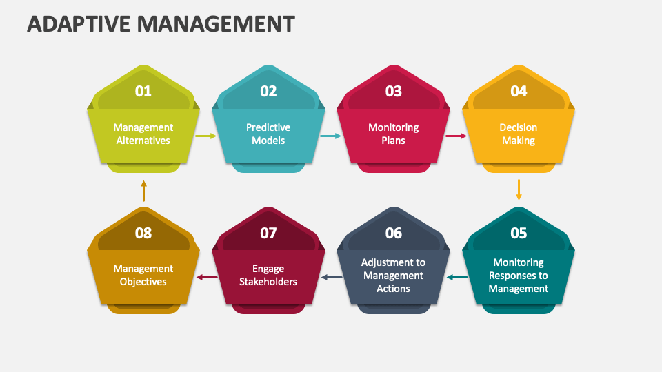 Adaptive Management PowerPoint and Google Slides Template - PPT Slides