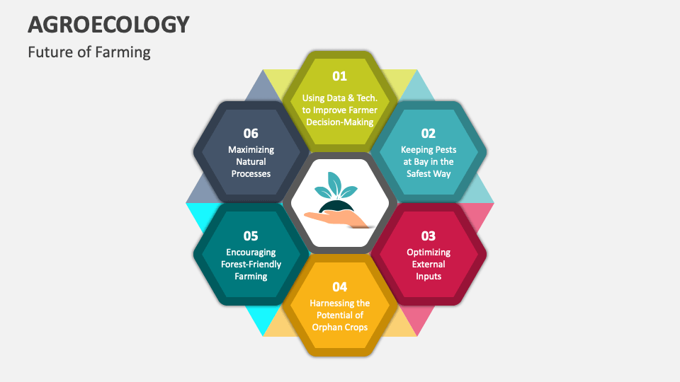 Agroecology PowerPoint and Google Slides Template - PPT Slides