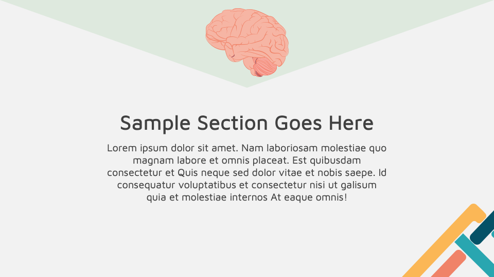 Brain Presentation Theme for PowerPoint and Google Slides - PPT Slides