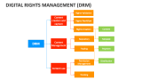 Digital Rights Management (DRM) Template for PowerPoint and Google Slides - PPT Slides