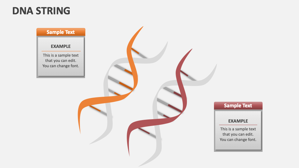 DNA String Template for PowerPoint and Google Slides - PPT Slides