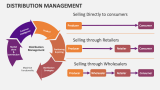 Distribution Management Template for PowerPoint and Google Slides - PPT ...