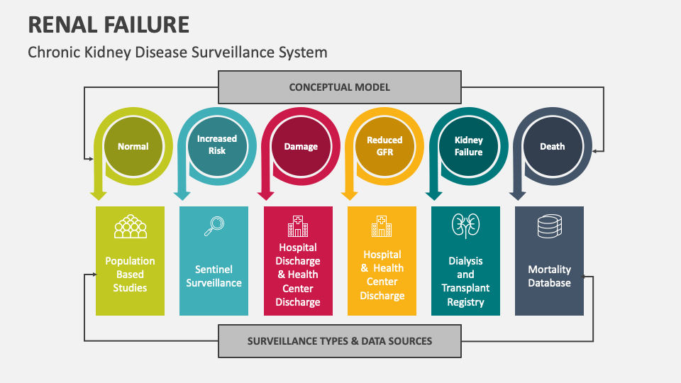 Renal Failure PowerPoint and Google Slides Template - PPT Slides